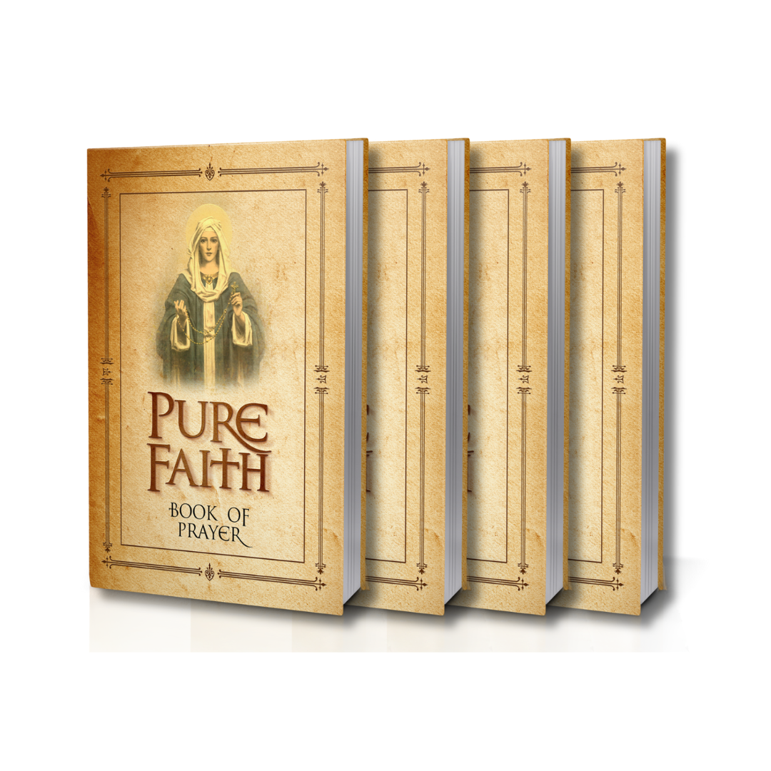 Pure Faith - Paperback 10-Pack – Chastity Project